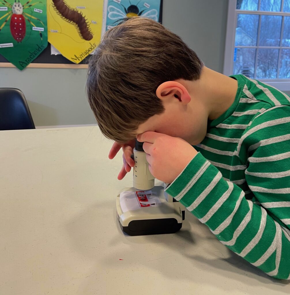STEM Sundays (Grades K-4) - New Pond Farm Education Center