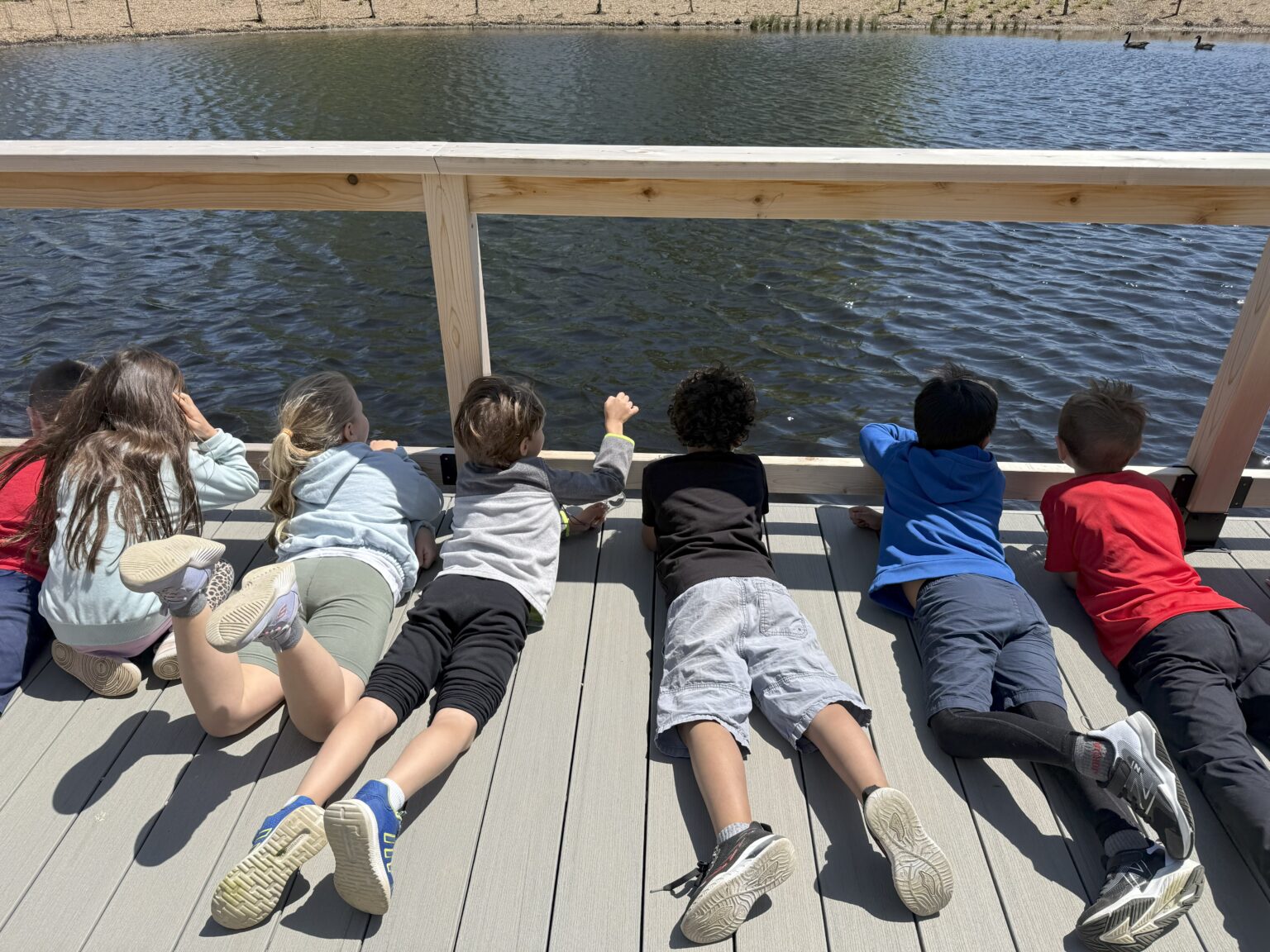 Programs - New Pond Farm