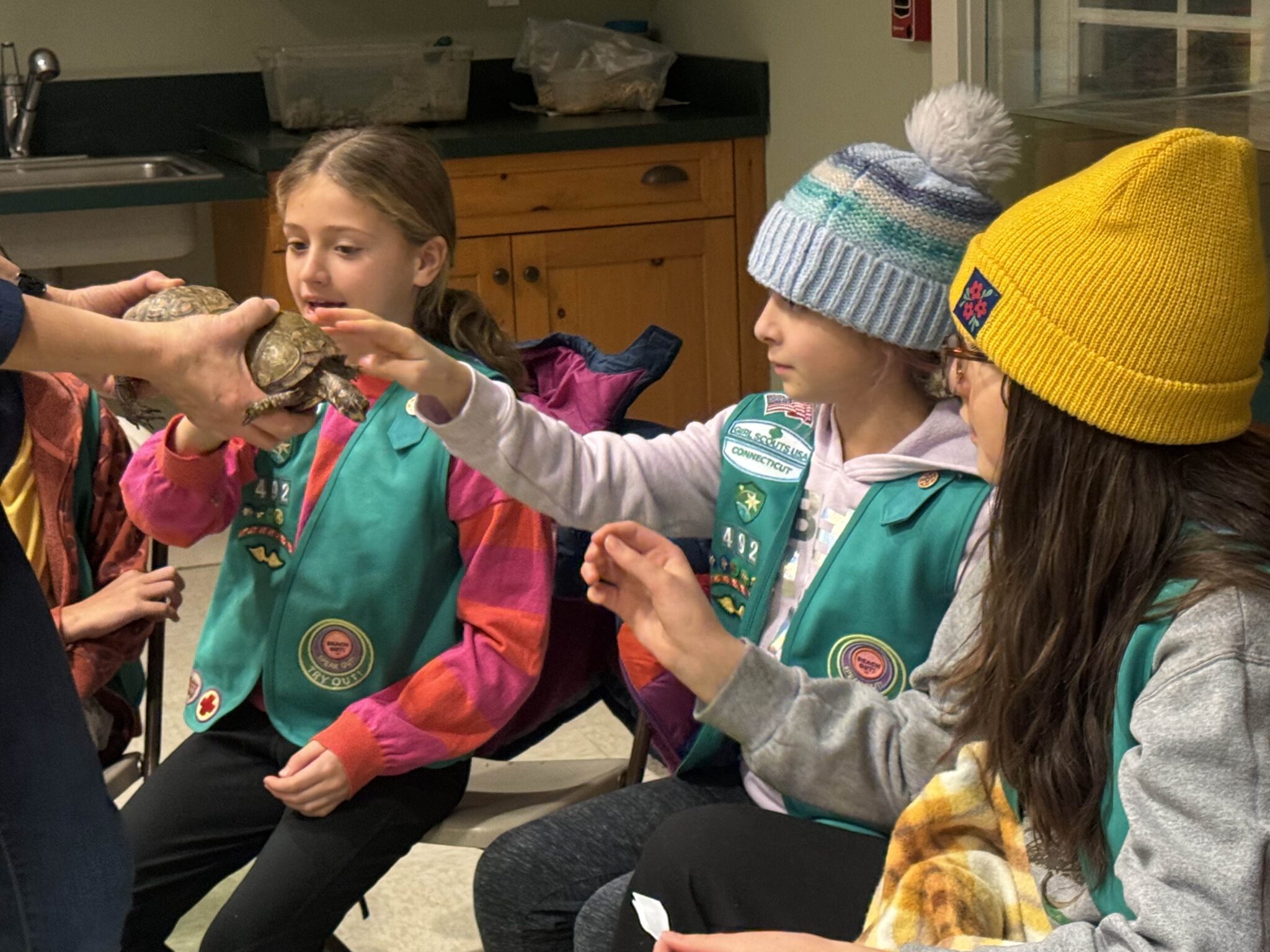 Programs - New Pond Farm