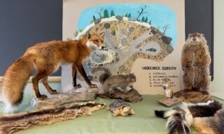 In School Programs - New Pond Farm