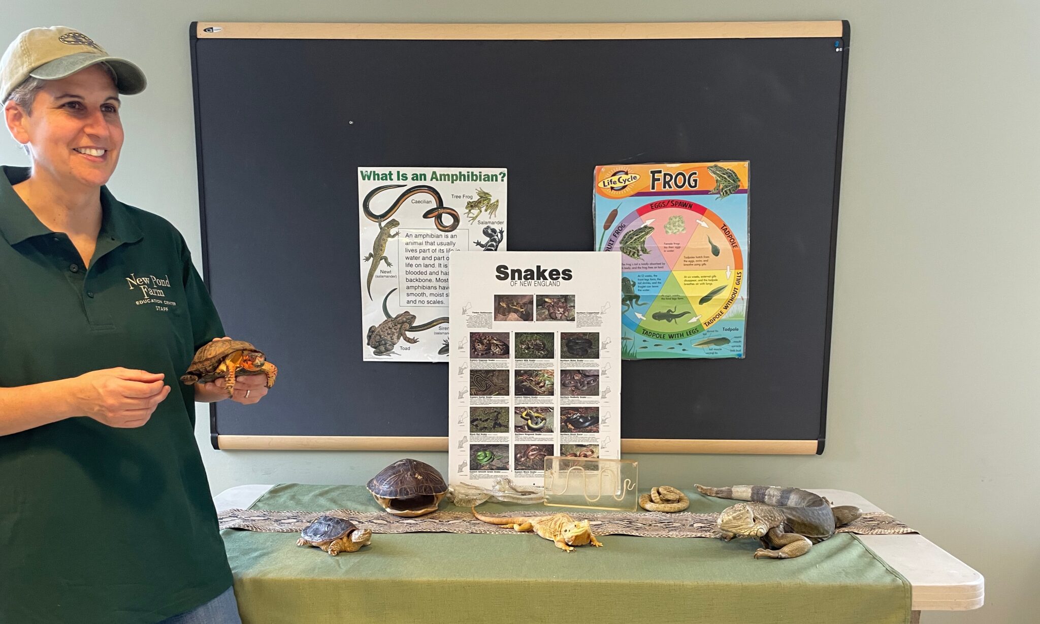 School Field Trips - New Pond Farm